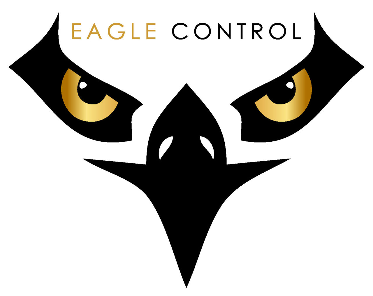 EAGLE CONTROL – keep control